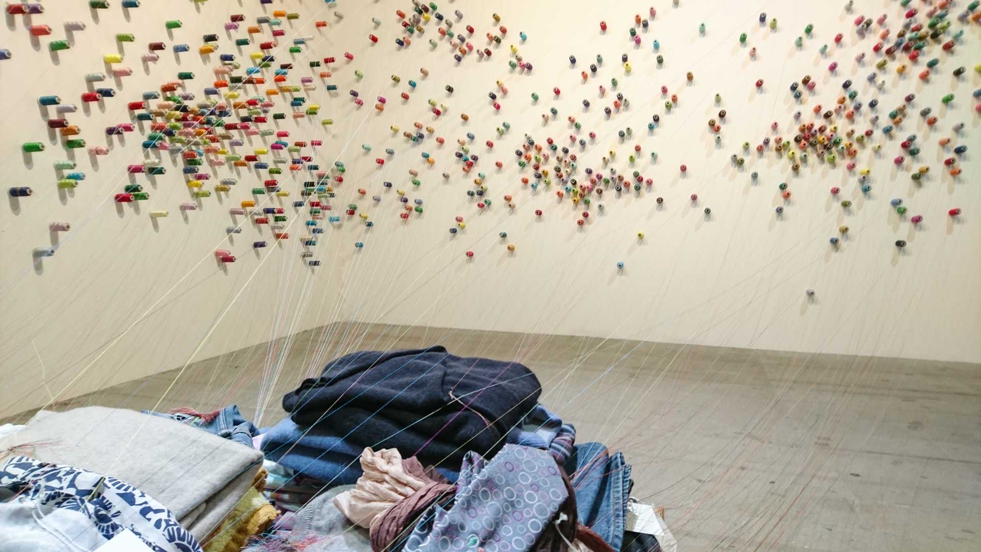 Wie kann ich das morphogenetische Feld anzapfen?